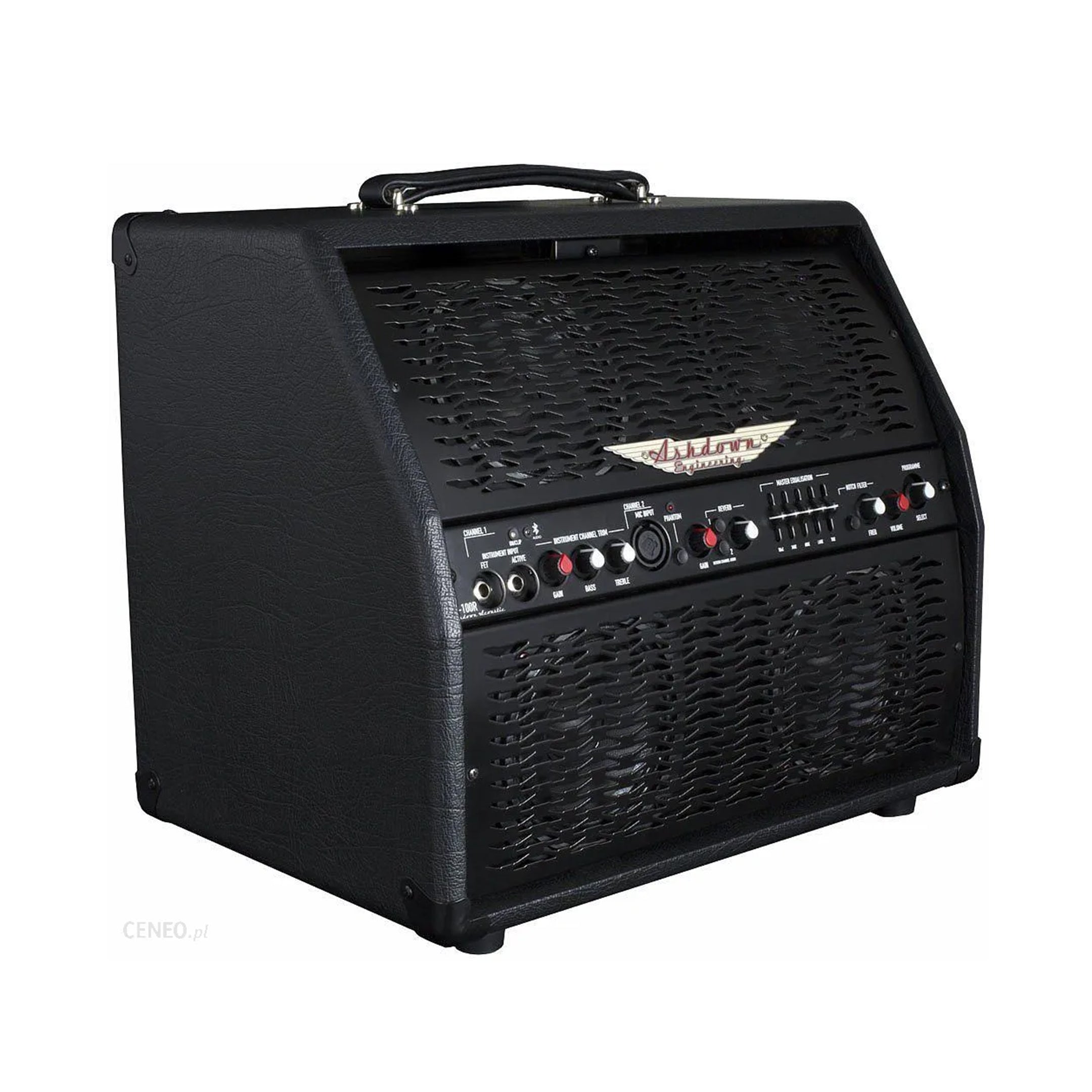 Ashdown AA-100-R Acoustic Guitar Combo Amplifier