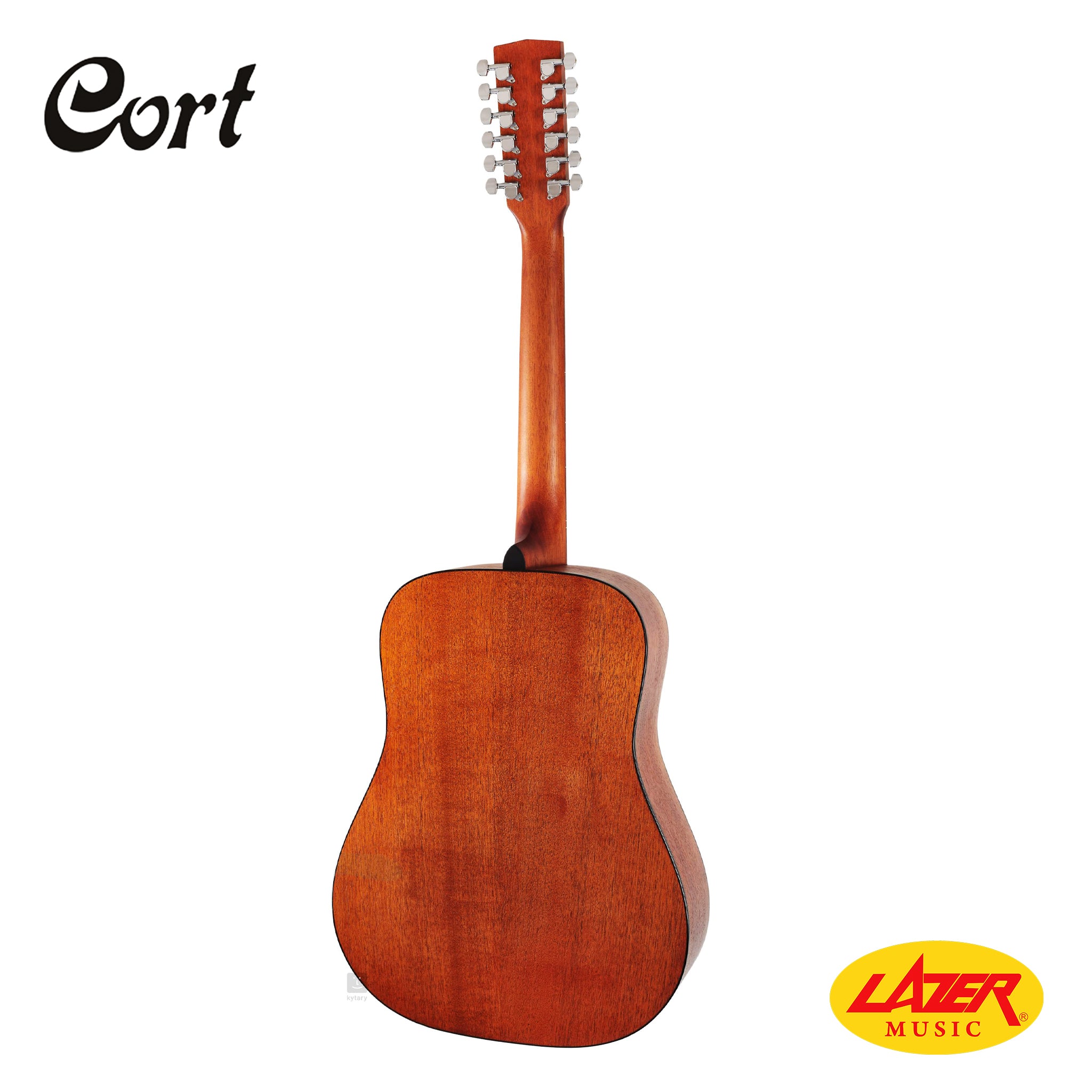 Cort 12 String Acoustic Guitar with Dreadnought Body, Spruce Top and M